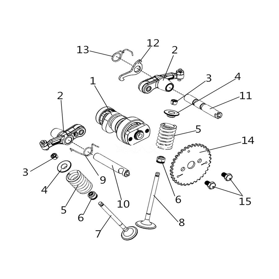 BUCK 250 VALVE